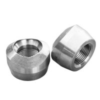 Threaded Outlet | ASME B16.11 Threadolets| Threaded Outlet |SS Threaded ...